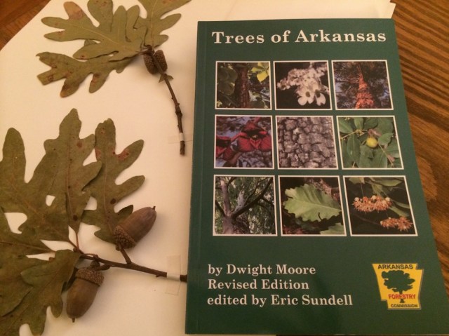 Trees of Arkansas Is Now User-Friendly with Full Color Pictures ...